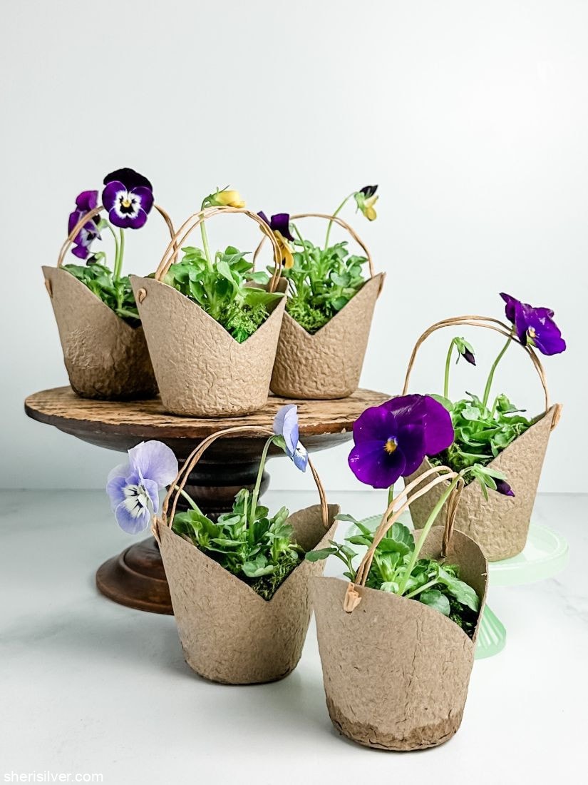 make & gift these easy plantable pots for earth day! | sheri silver