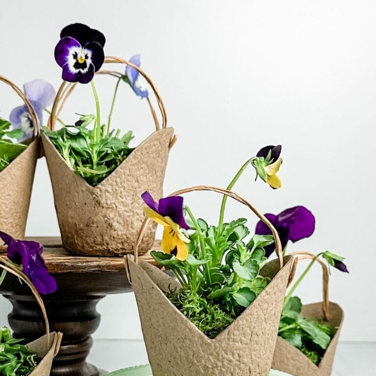 make & gift these easy plantable pots for earth day! | sheri silver
