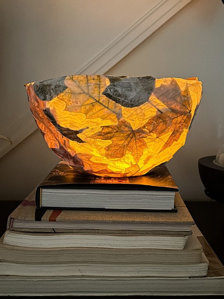 homemade nature lanterns for earth day! | sheri silver