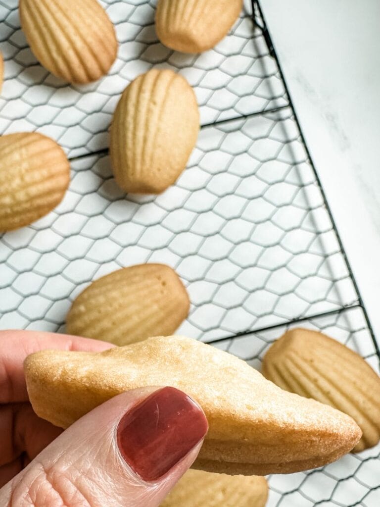 madeleines! | sheri silver