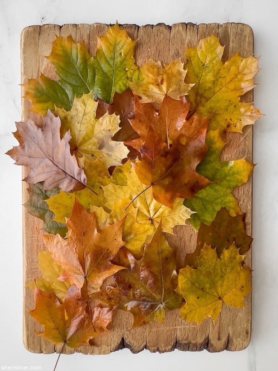 Easy DIY Leaf Place Cards for Thanksgiving | sheri silver